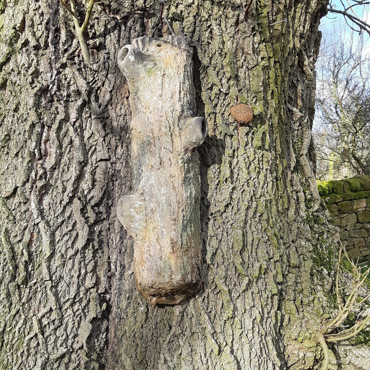 Large Bat Box - Bark Boxes - Bat and Bird Boxes