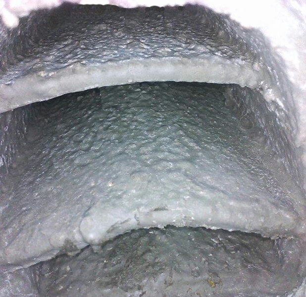 Maternity Bat Box - Bark Boxes - Bat and Bird Boxes