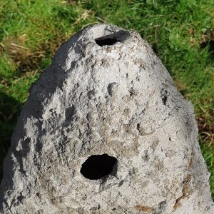 Maternity Bat Box - Bark Boxes - Bat and Bird Boxes